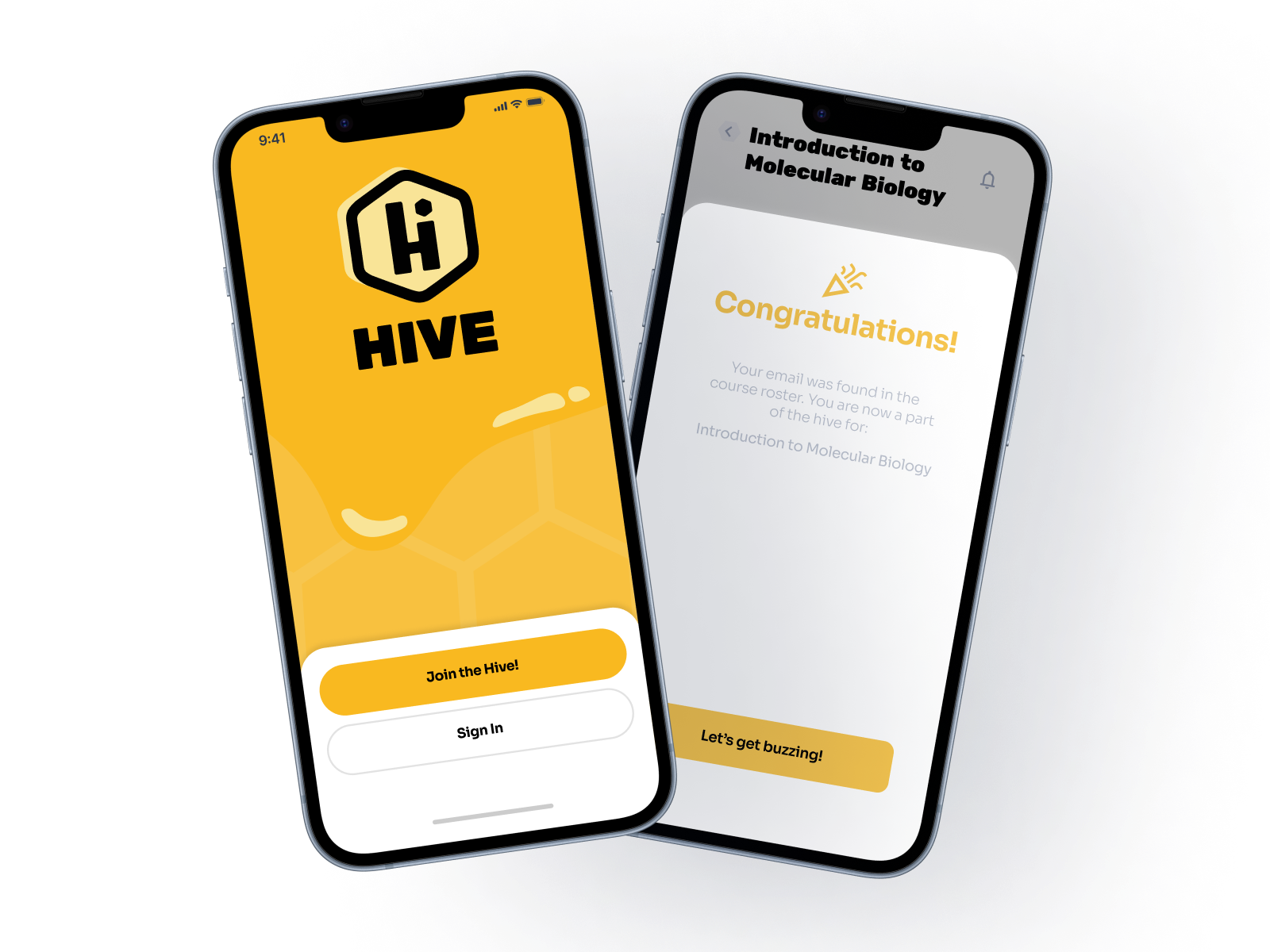 Madison Howard – UX & Visual Designer